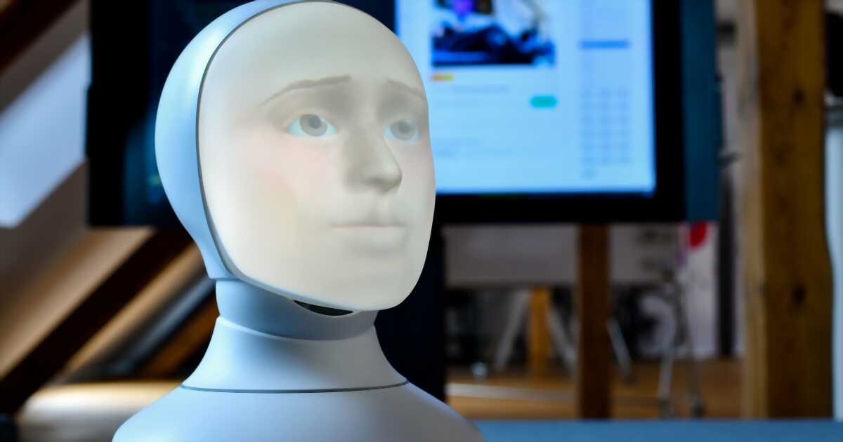 Emotional vs Rational Robot Shopping Assistants | NIM
