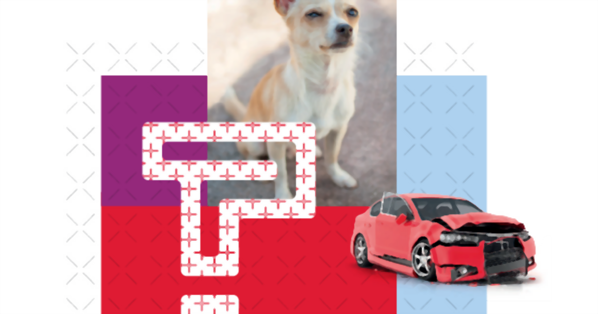 The Thorny Challenge of Making Moral Machines: Ethical Dilemmas with ...